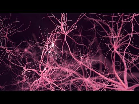 World's first Neural network keyboard: SwiftKey Neural Alpha for Android